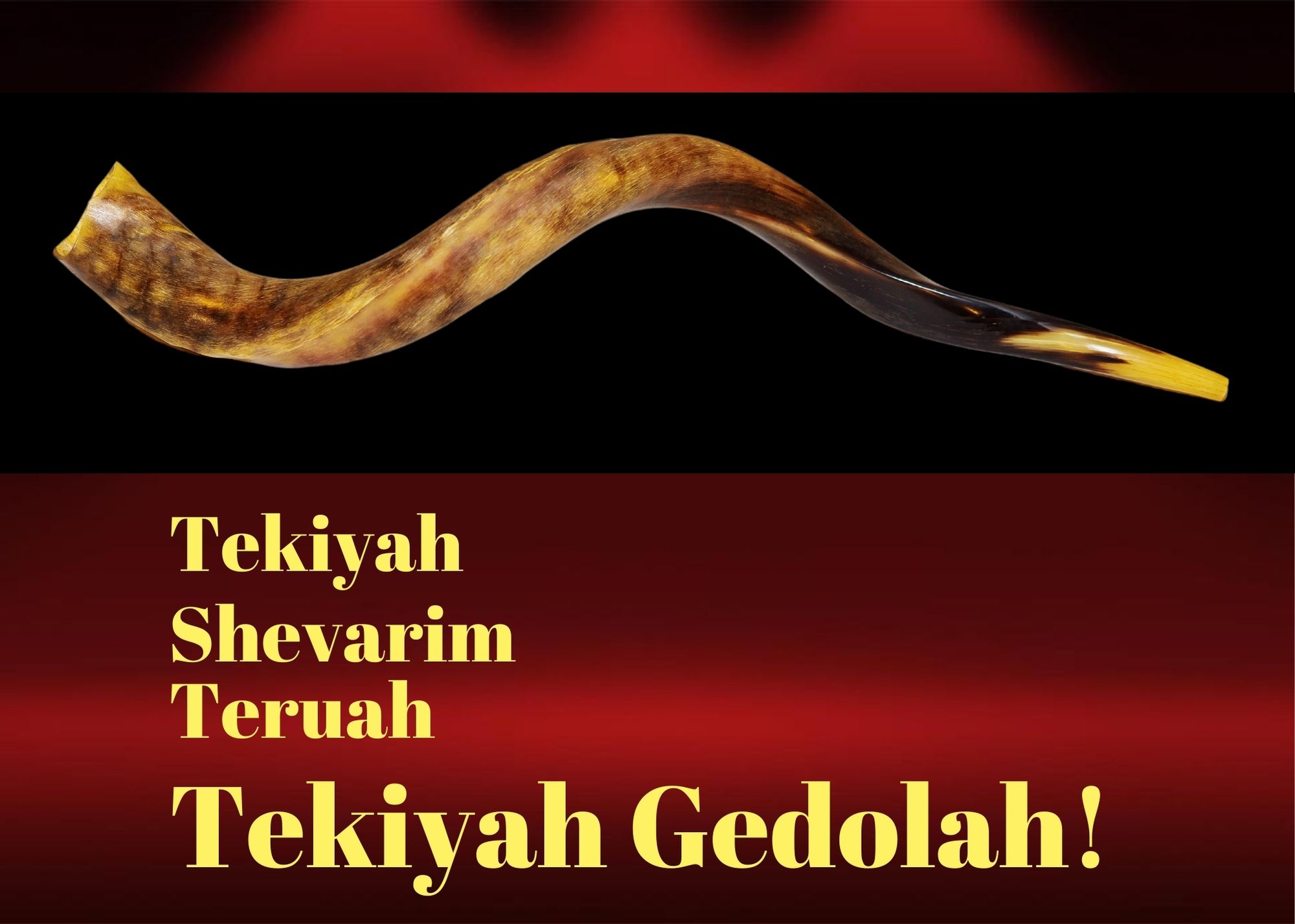 Holidays – shazak.com