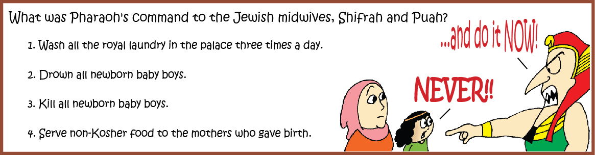 Pesach – shazak.com