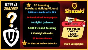shazak.com – Geared for Kids… Great for Adults!